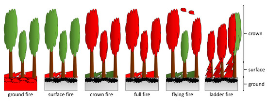 Is a Forest Fire a Natural Disaster? Investigating the Fire Tolerance ...