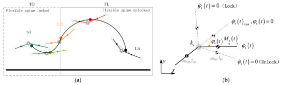 Research on Dynamic Modeling Method and Flying Gait Characteristics of Quadruped Robots with ...