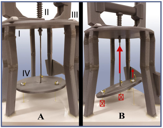 TriTrap: A Robotic Gripper Inspired by Insect Tarsal Chains