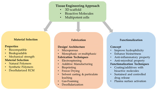 Biomimetics | Free Full-Text | Recent Advances in Scaffolds for Guided Bone Regeneration