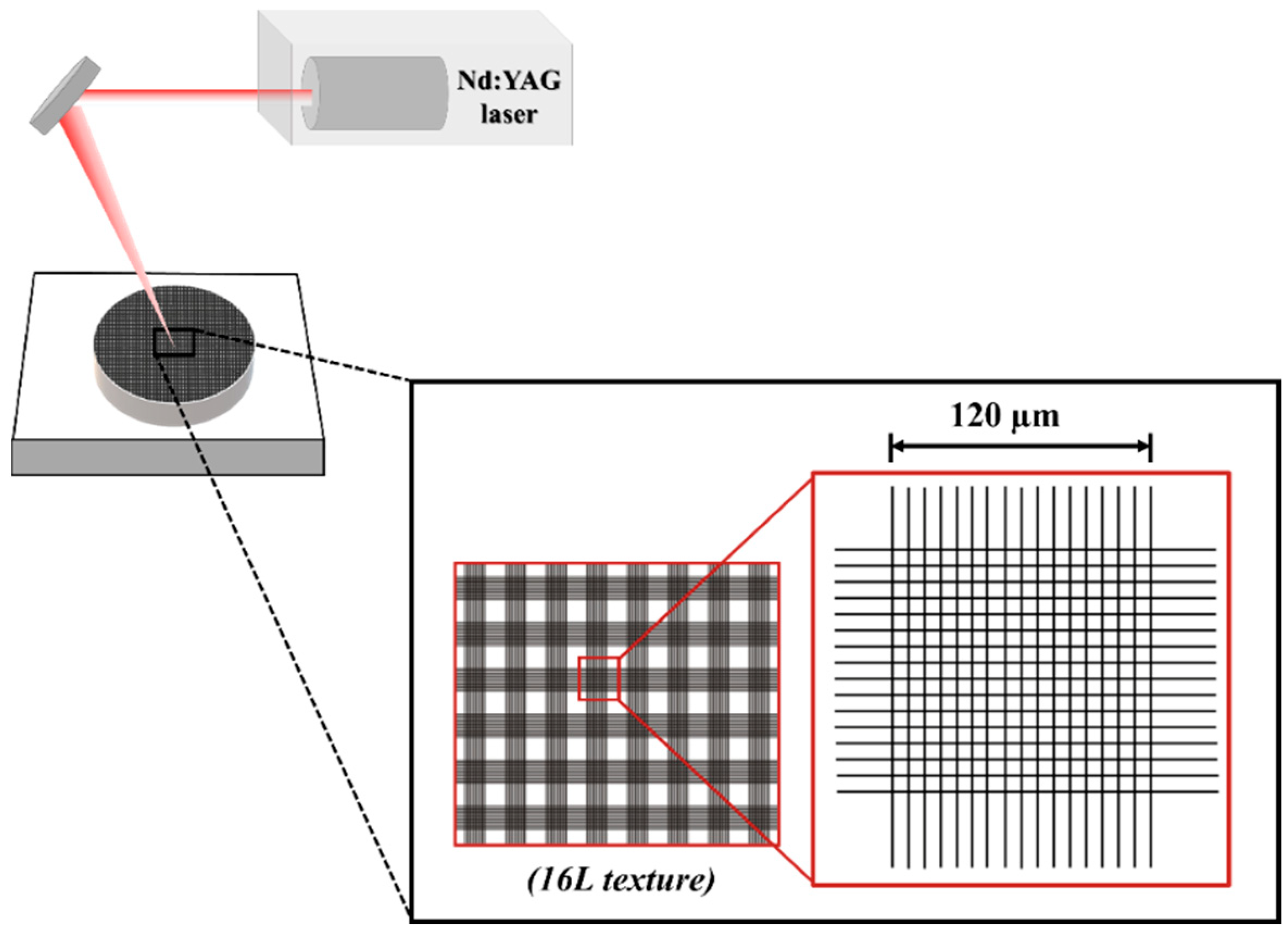 Cell Biological and Antibacterial Evaluation of a New Approach to ...