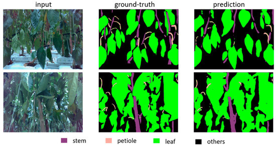 Autonomous Robotic System to Prune Sweet Pepper Leaves Using Semantic ...