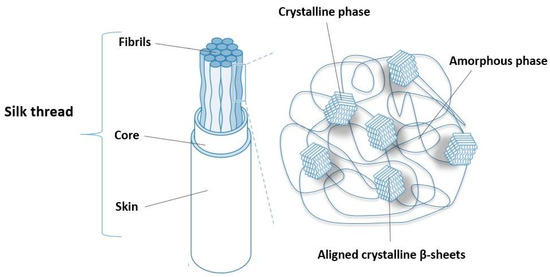 Review of Spider Silk Applications in Biomedical and Tissue Engineering