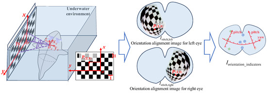 A Fish-like Binocular Vision System for Underwater Perception of ...