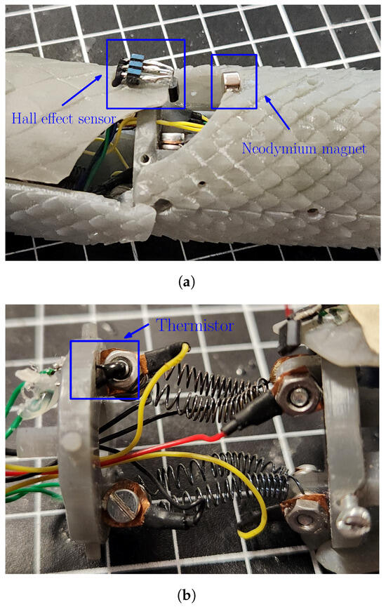 Snake Robot with Motion Based on Shape Memory Alloy Spring-Shaped Actuators