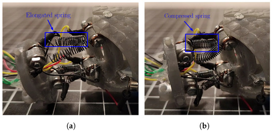 Snake Robot with Motion Based on Shape Memory Alloy Spring-Shaped Actuators