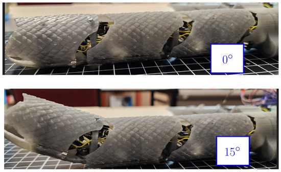 Snake Robot with Motion Based on Shape Memory Alloy Spring-Shaped Actuators