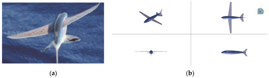 Aerodynamic/Hydrodynamic Investigation of Water Cross-Over for a Bionic ...