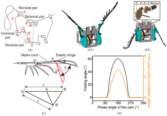 The Functions of Phasic Wing-Tip Folding on Flapping-Wing Aerodynamics
