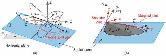 The Functions of Phasic Wing-Tip Folding on Flapping-Wing Aerodynamics