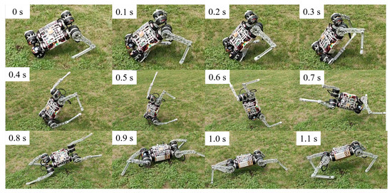 Dynamic Fall Recovery Control for Legged Robots via Reinforcement Learning