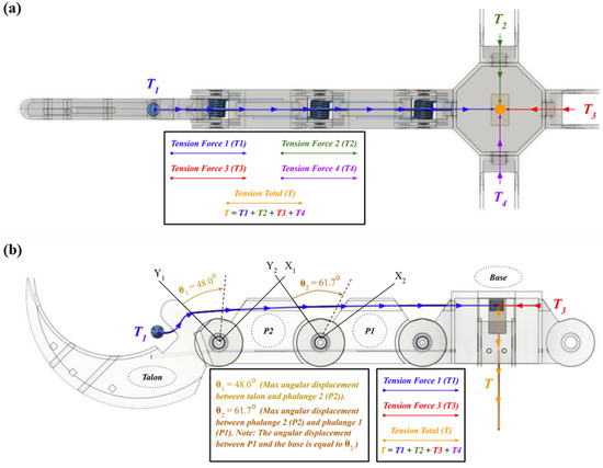 Design and Assessment of Bird-Inspired 3D-Printed Models to Evaluate ...