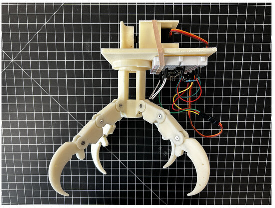 Design and Assessment of Bird-Inspired 3D-Printed Models to Evaluate ...