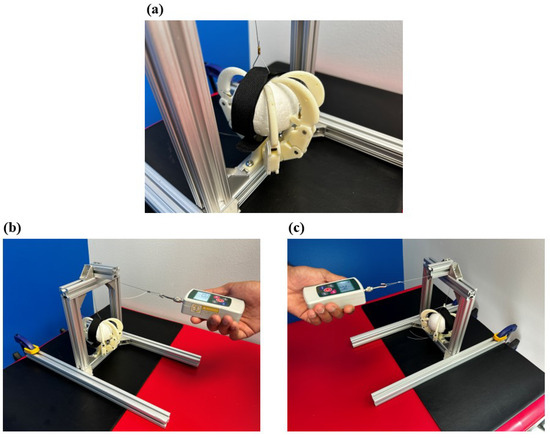 Biomimetics | Free Full-Text | Design and Assessment of Bird-Inspired ...