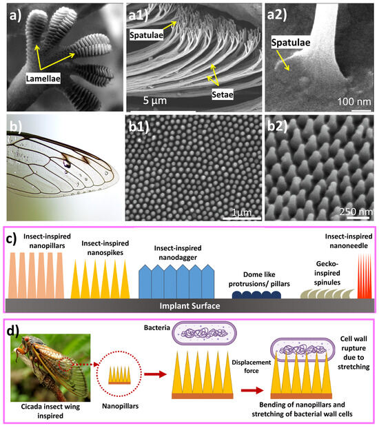 Bioinspired and Multifunctional Tribological Materials for Sliding ...