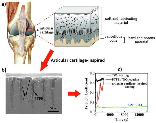 Bioinspired and Multifunctional Tribological Materials for Sliding ...