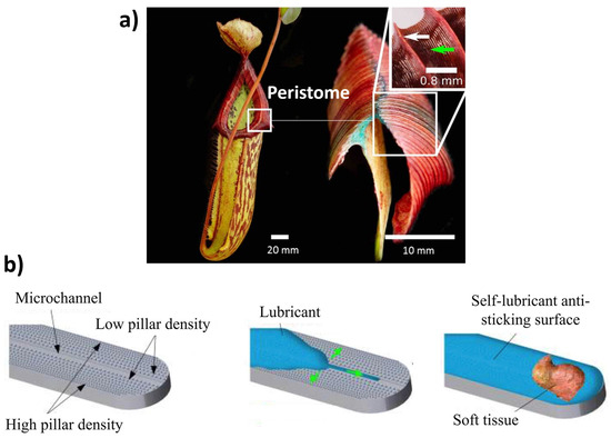 Bioinspired and Multifunctional Tribological Materials for Sliding ...