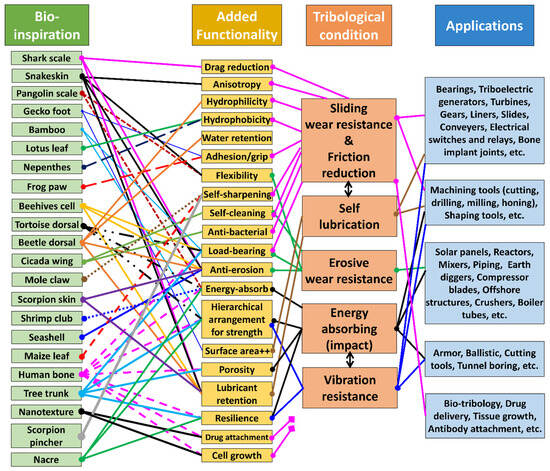 Bioinspired and Multifunctional Tribological Materials for Sliding ...