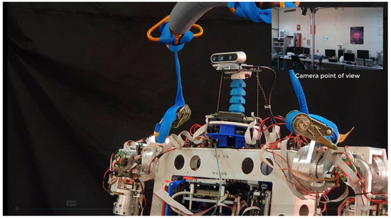 Humanoid Head Camera Stabilization Using a Soft Robotic Neck and a ...