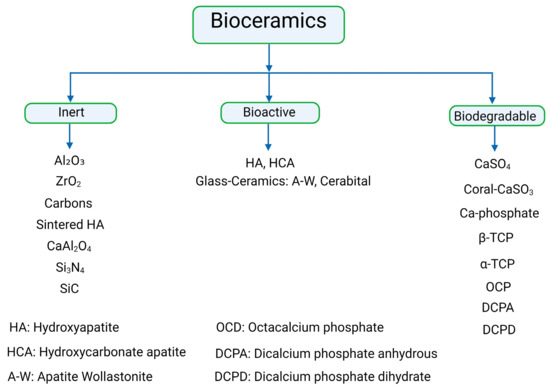 The Role of Bioceramics for Bone Regeneration: History, Mechanisms, and ...