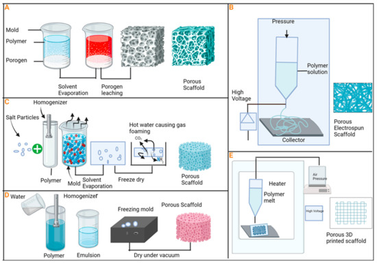 The Role of Bioceramics for Bone Regeneration: History, Mechanisms, and ...