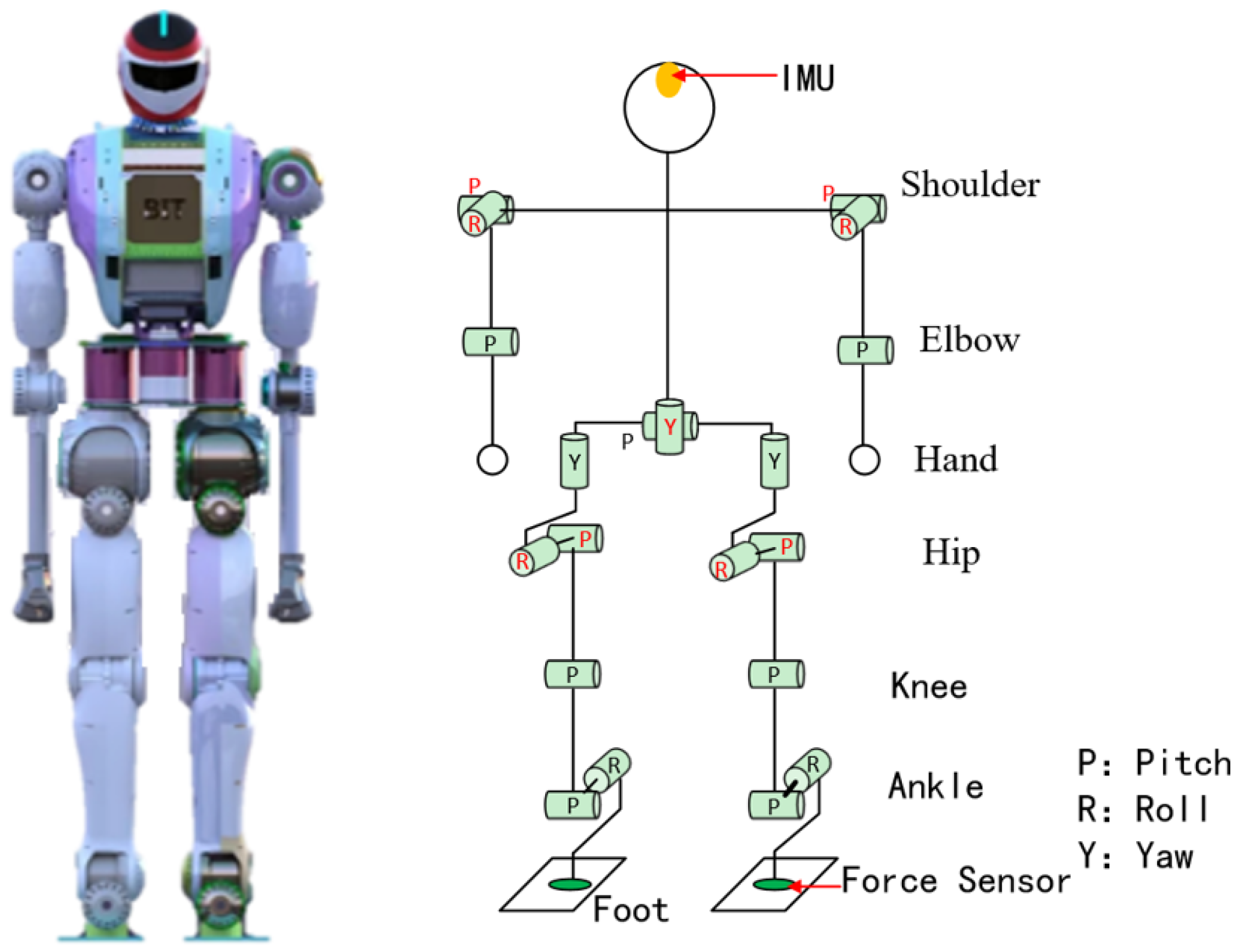 Whole-Body Dynamics for Humanoid Robot Fall Protection Trajectory ...