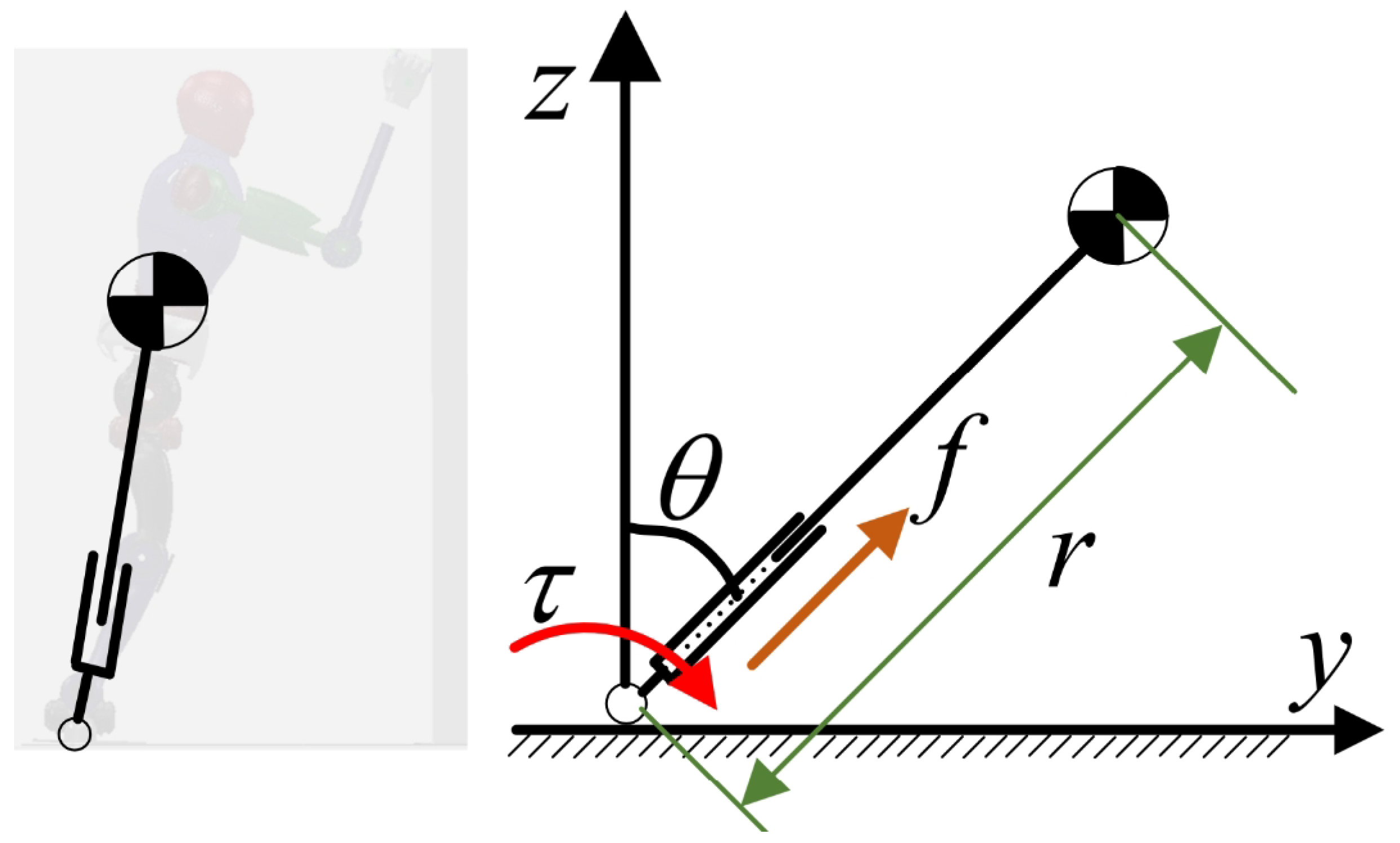 Whole-Body Dynamics for Humanoid Robot Fall Protection Trajectory ...