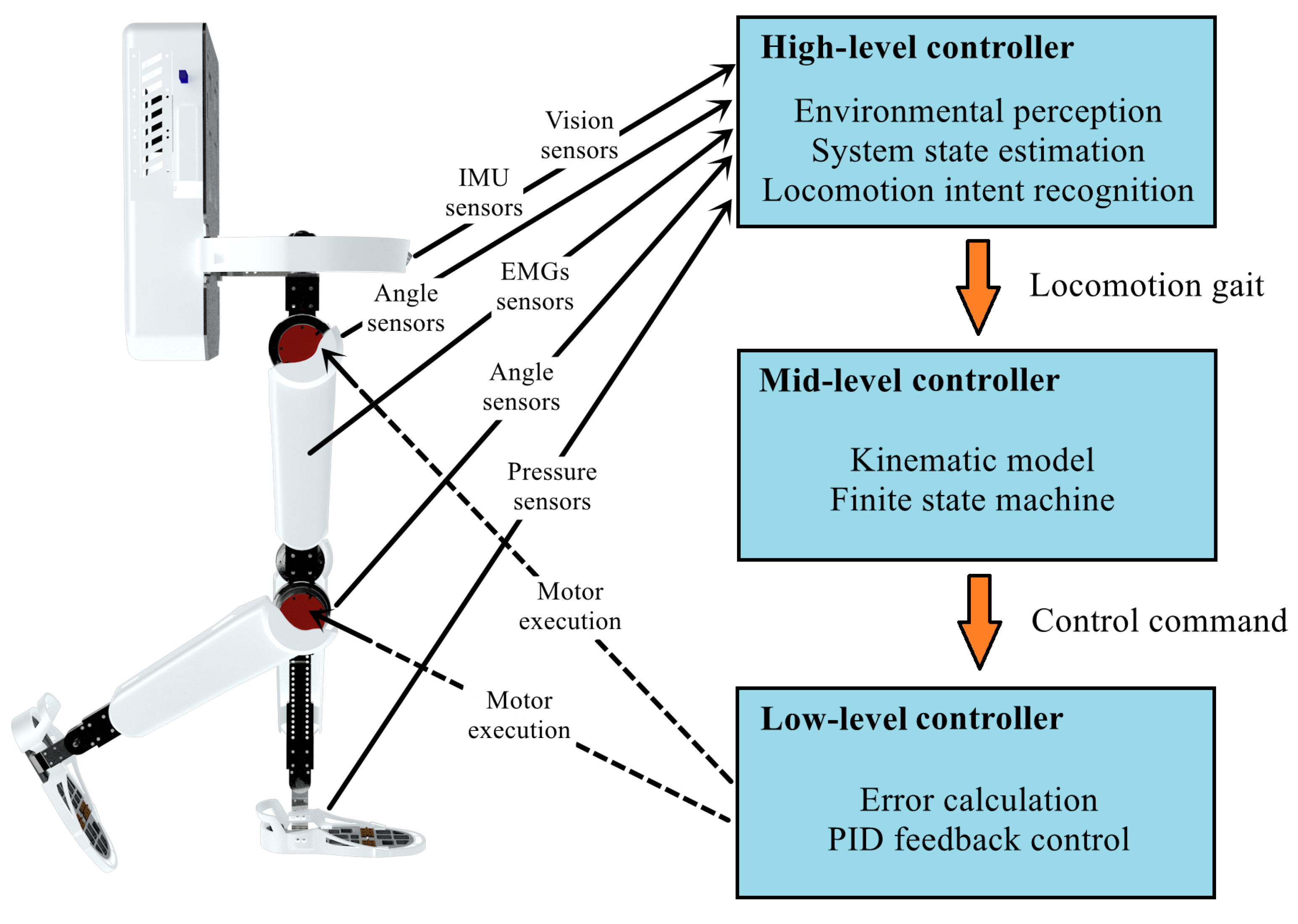Review of Vision-Based Environmental Perception for Lower-Limb ...