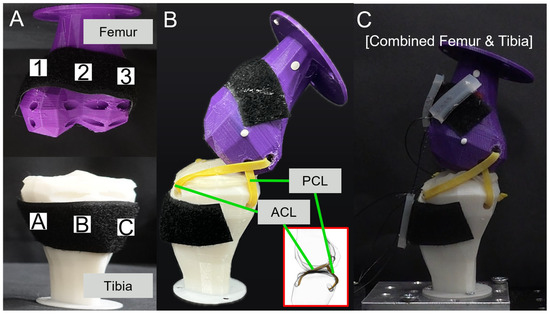 Shape Memory Alloys Patches to Mimic Rolling, Sliding, and Spinning ...