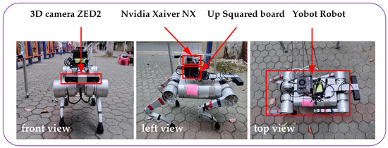 Dynamic 3D Point-Cloud-Driven Autonomous Hierarchical Path Planning for Quadruped Robots