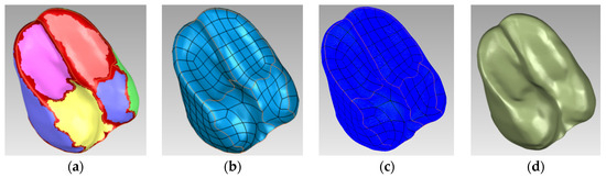 Design of Bionic Foot Inspired by the Anti-Slip Cushioning Mechanism of ...