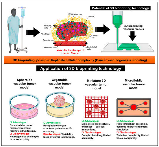 Biomimetics | Free Full-Text | Advancement in Cancer Vasculogenesis Modeling through 3D ...