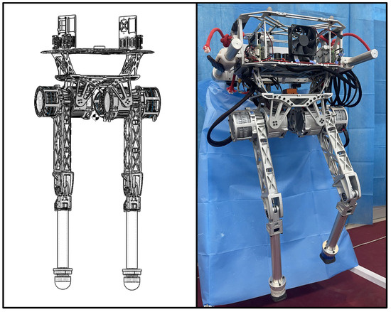 Adaptive Gait Acquisition through Learning Dynamic Stimulus Instinct of ...
