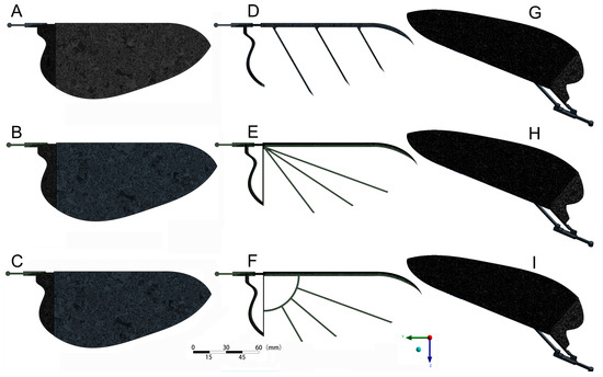 Investigating the Mechanical Performance of Bionic Wings Based on the ...
