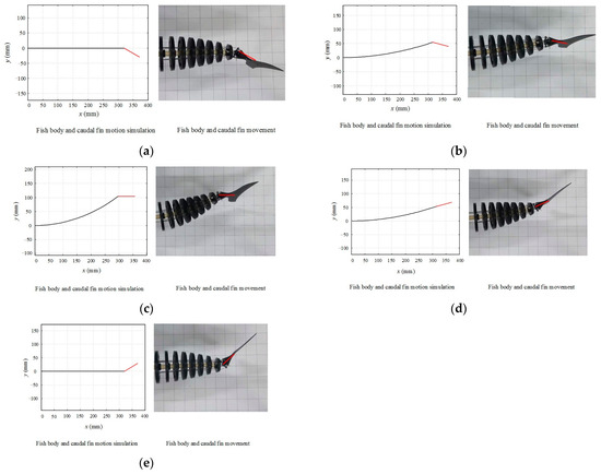 Kinematic Modeling and Experimental Study of a Rope-Driven Bionic Fish