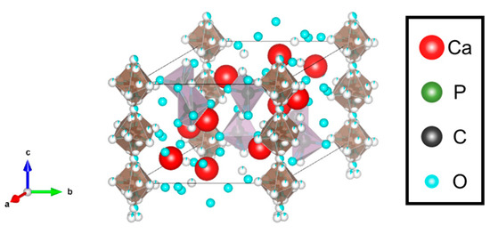 Biomimetics | Free Full-Text | Biological Surface Layer Formation on ...