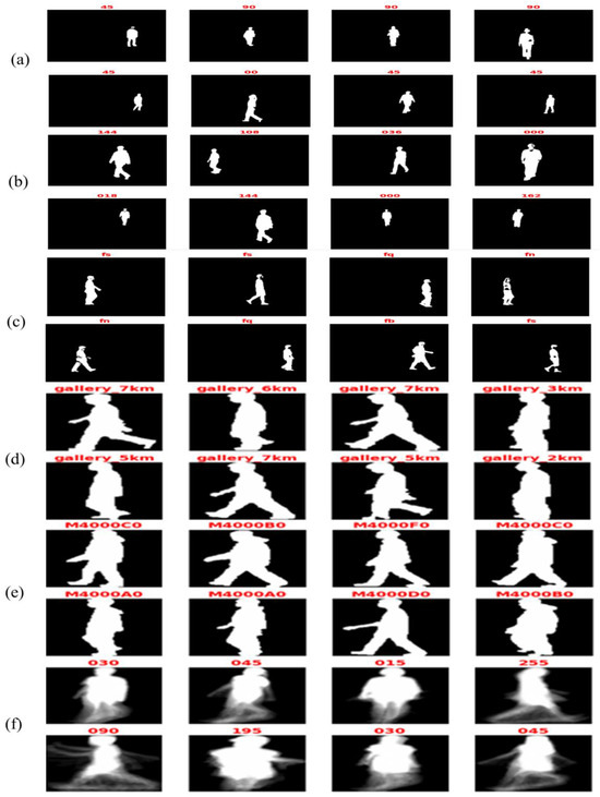A Novel Multi-Scaled Deep Convolutional Structure for Punctilious Human Gait Authentication