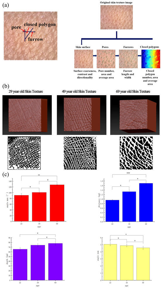 Three-Dimensional Bioprinted Skin Microrelief and Its Role in Skin Aging