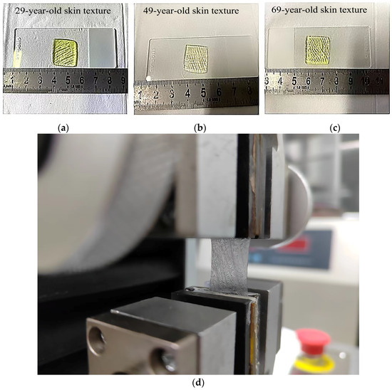 Three-Dimensional Bioprinted Skin Microrelief and Its Role in Skin Aging