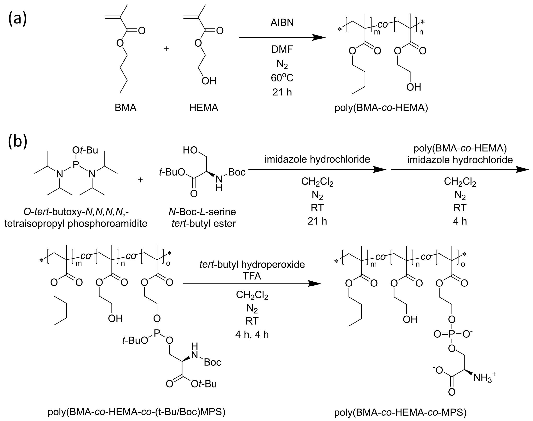 Design of Apoptotic Cell-Inspired Particles as a Blood Coagulation Test