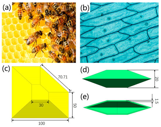 Design of Heavy-Load Soft Robots Based on a Dual Biomimetic Structure