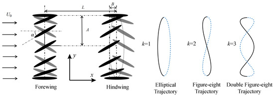 The Effect of Hindwing Trajectories on Wake–Wing Interactions in the ...