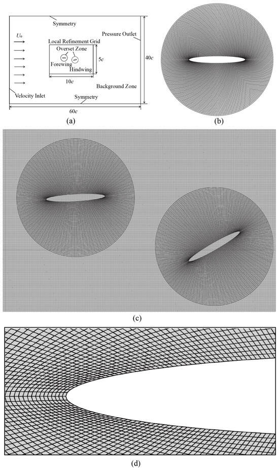 The Effect of Hindwing Trajectories on Wake–Wing Interactions in the ...