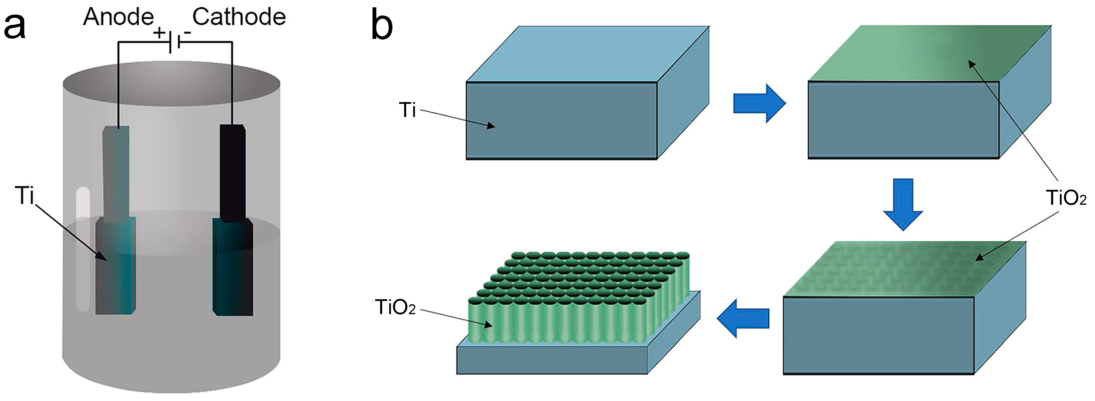 Various Antibacterial Strategies Utilizing Titanium Dioxide Nanotubes Prepared via ...