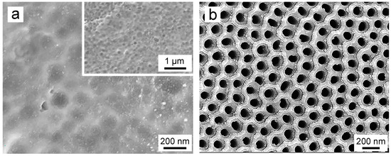Various Antibacterial Strategies Utilizing Titanium Dioxide Nanotubes Prepared via ...