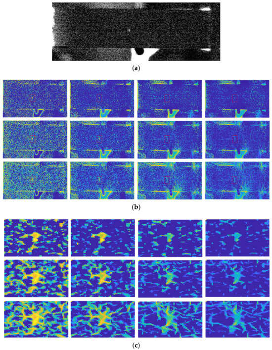 Biological Basis and Computer Vision Applications of Image Phase ...