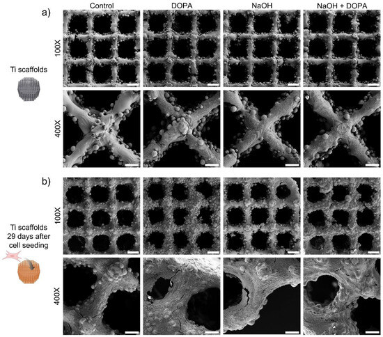 3D Printing and Surface Engineering of Ti6Al4V Scaffolds for Enhanced Osseointegration in an In ...