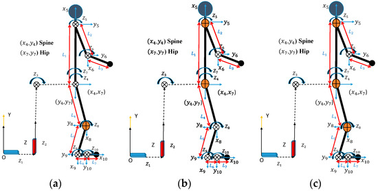 Biomimetics | Free Full-Text | Human–Exoskeleton Coupling Simulation for Lifting Tasks with ...