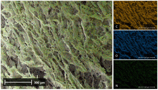 The Impact of Green Physical Crosslinking Methods on the Development of Sericin-Based ...