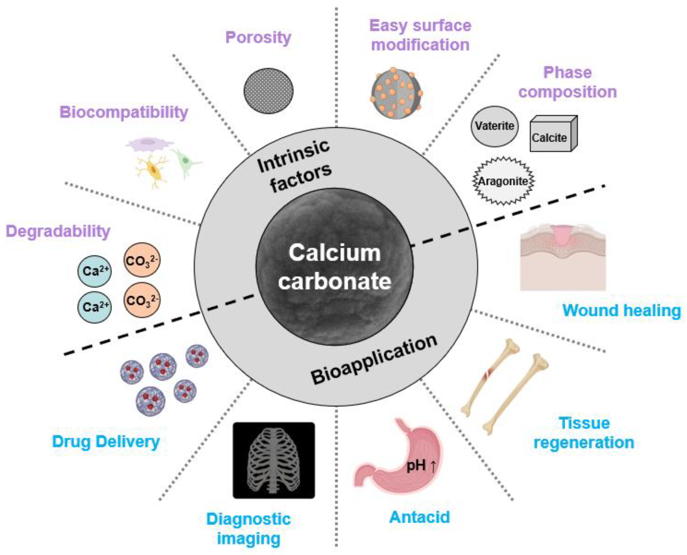 Biomimetic Scaffolds of Calcium-Based Materials for Bone Regeneration